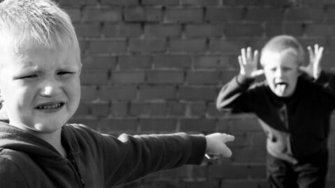 Sibling Rivalry and Developmental Trauma - Evergreen Therapeutics