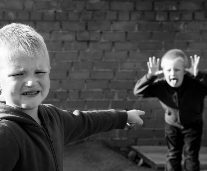 Sibling Rivalry and Developmental Trauma - Evergreen Therapeutics